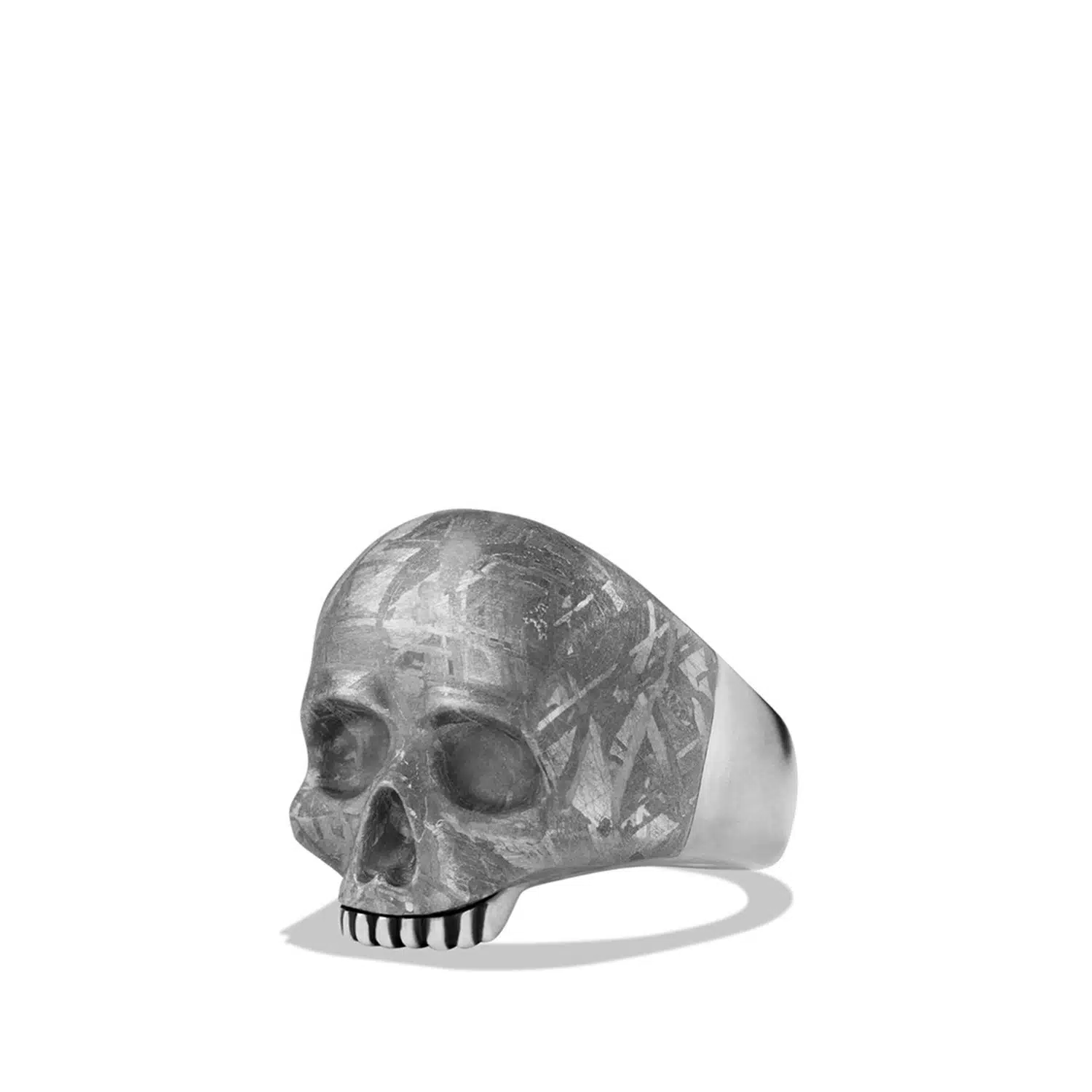 Skull Ring with Carved Meteorite Underwoods Jewelers